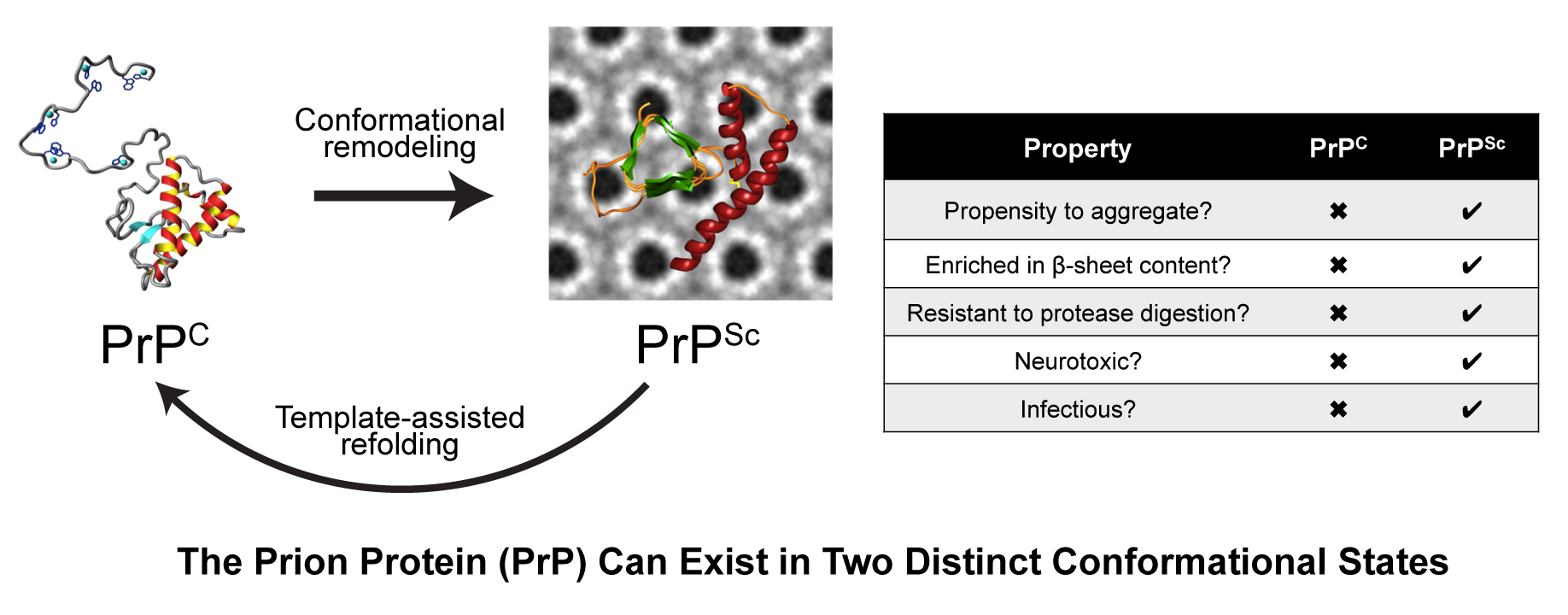 Research Areas | The Joel Watts Lab